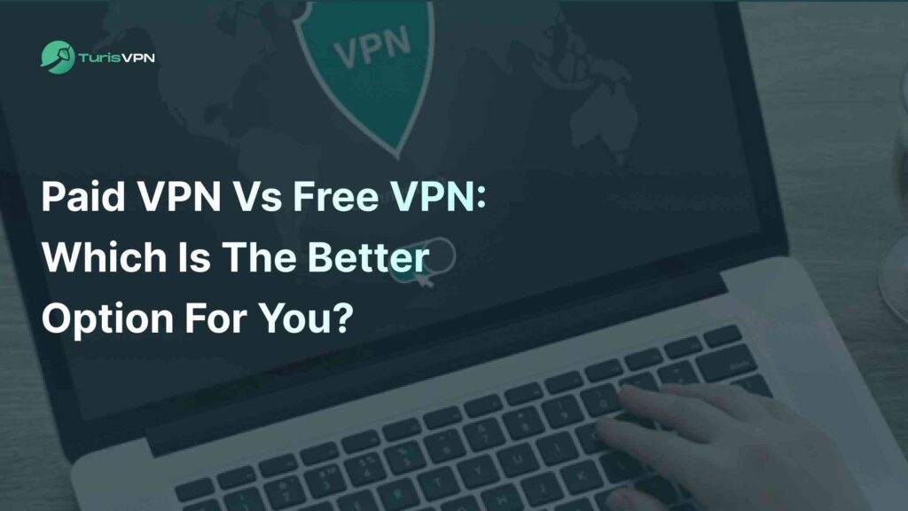 Paid VPN Vs Free VPN: Which Is The Better Option For You?